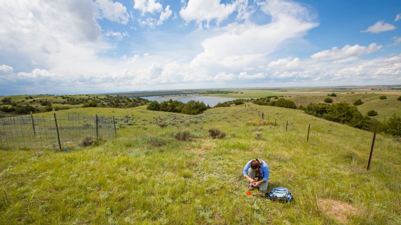 Natural Resource Sciences Degree | Graduate Program | School of Natural ...